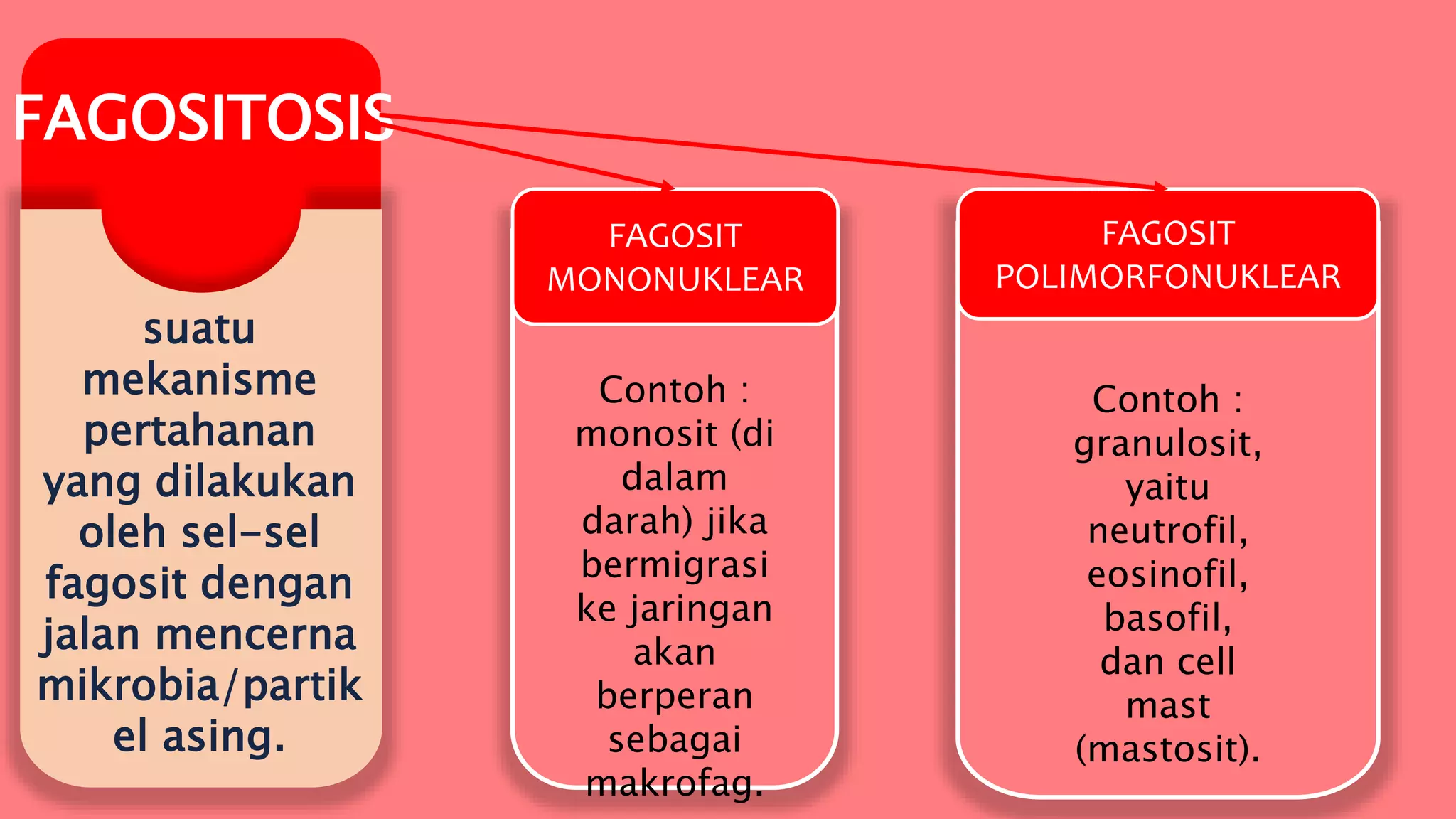 Powerpoint Sistem Pertahanan Tubuh Pada Manusia BAB V Biologi kelas 11 ...