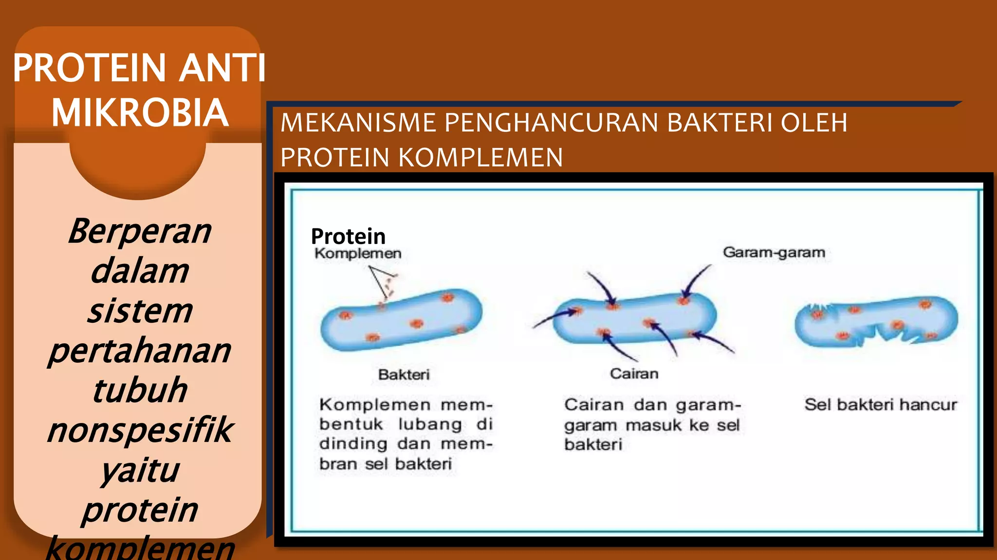 Powerpoint Sistem Pertahanan Tubuh Pada Manusia BAB V Biologi kelas 11 ...