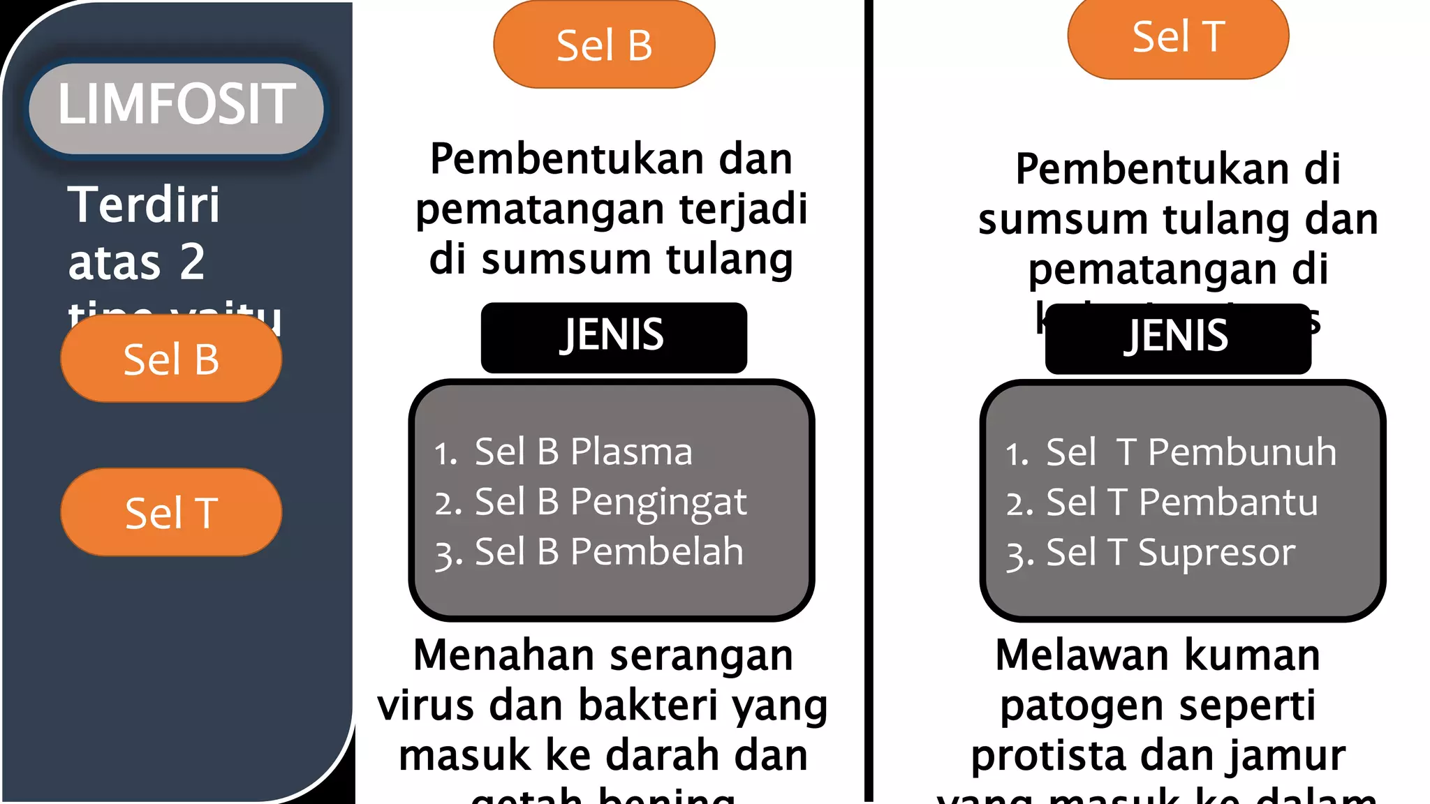 Powerpoint Sistem Pertahanan Tubuh Pada Manusia BAB V Biologi kelas 11 ...