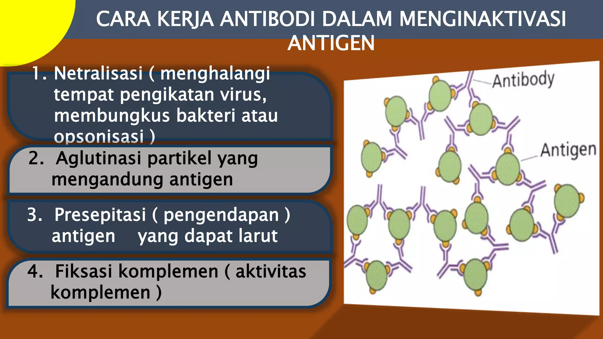 Powerpoint Sistem Pertahanan Tubuh Pada Manusia BAB V Biologi kelas 11 ...