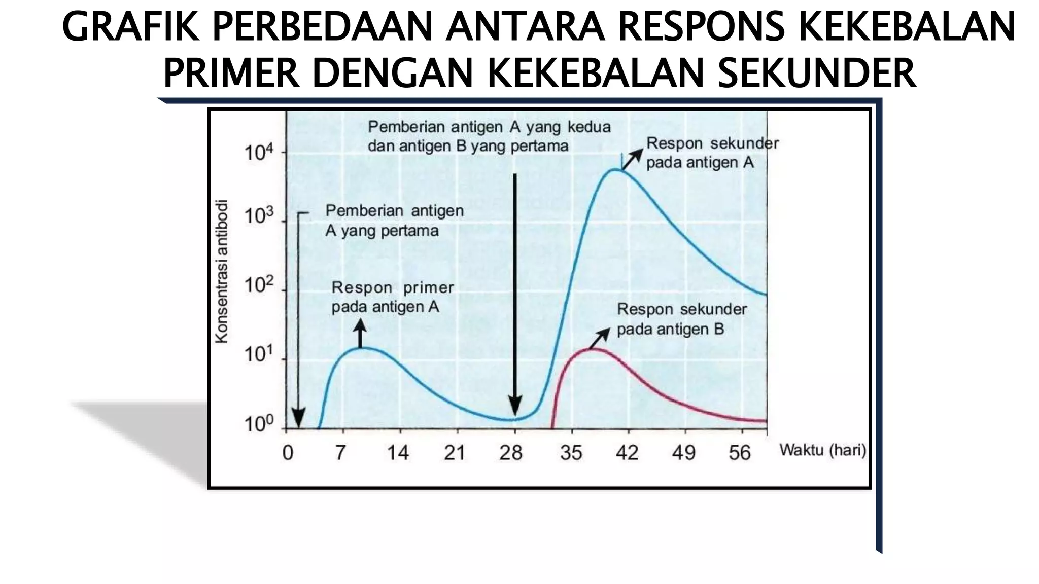 Powerpoint Sistem Pertahanan Tubuh Pada Manusia BAB V Biologi kelas 11 ...