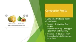 PPT BIO TECHNOLOGY | PDF | Gardening | Home & Garden