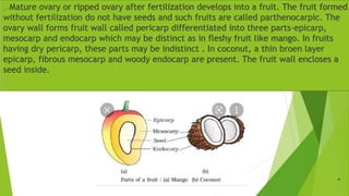 PPT BIO TECHNOLOGY | PDF | Gardening | Home & Garden
