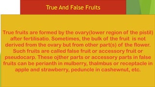 PPT BIO TECHNOLOGY | PDF | Gardening | Home & Garden