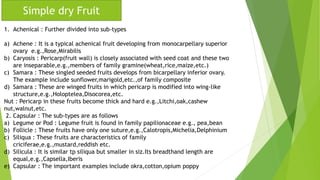 PPT BIO TECHNOLOGY | PDF | Gardening | Home & Garden