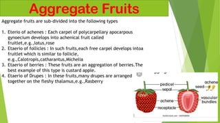 PPT BIO TECHNOLOGY | PDF | Gardening | Home & Garden