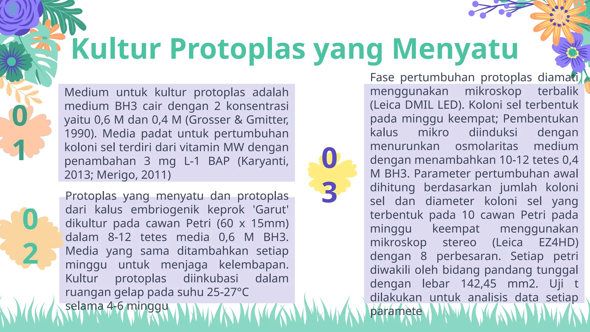 ppt bioteknologi protoplasma fusion between indonesian citrus maxima | PPTX