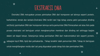 ppt bioteknologi ekstraksi DNA buah naga 5B.pptx
