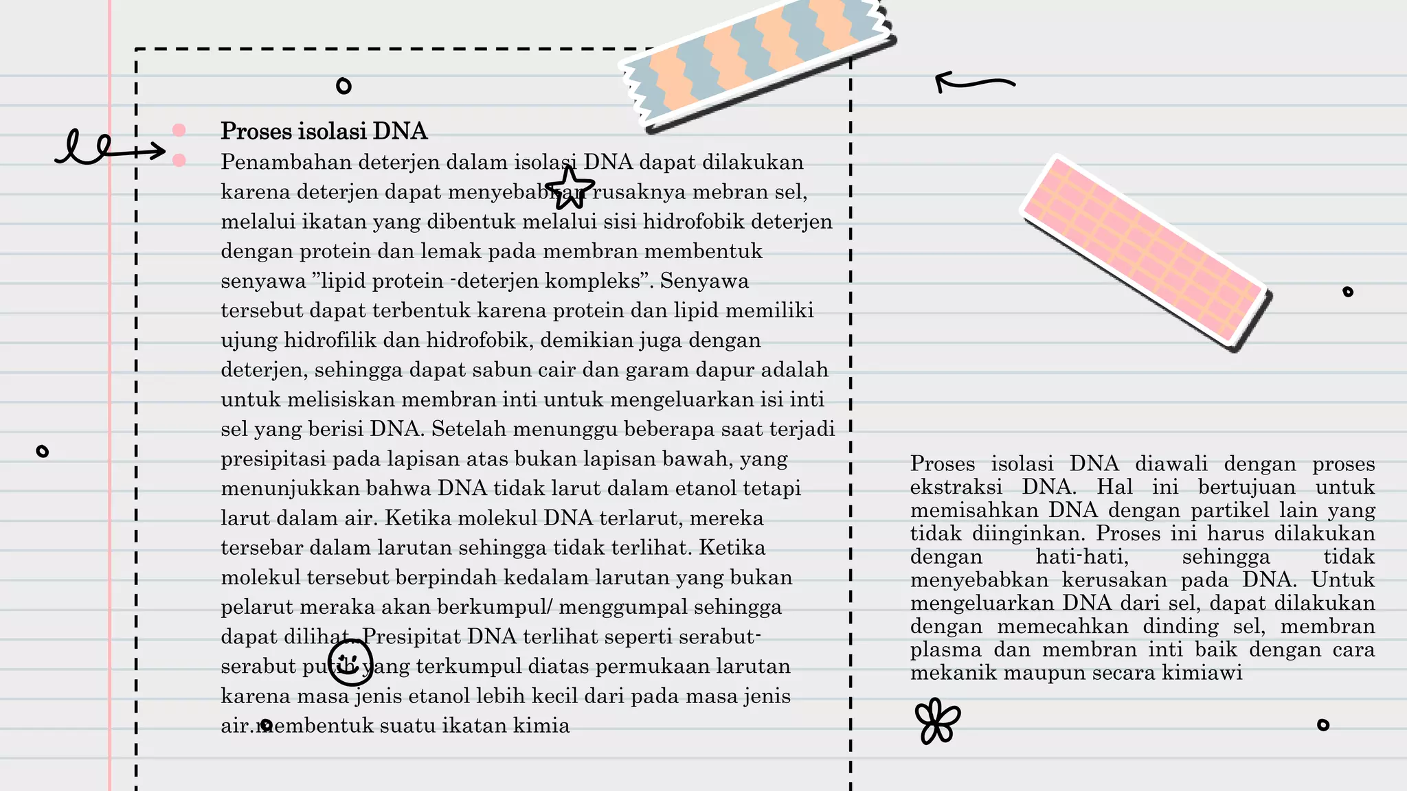 ppt bioteknologi isolasi dna bah nanas.pptx