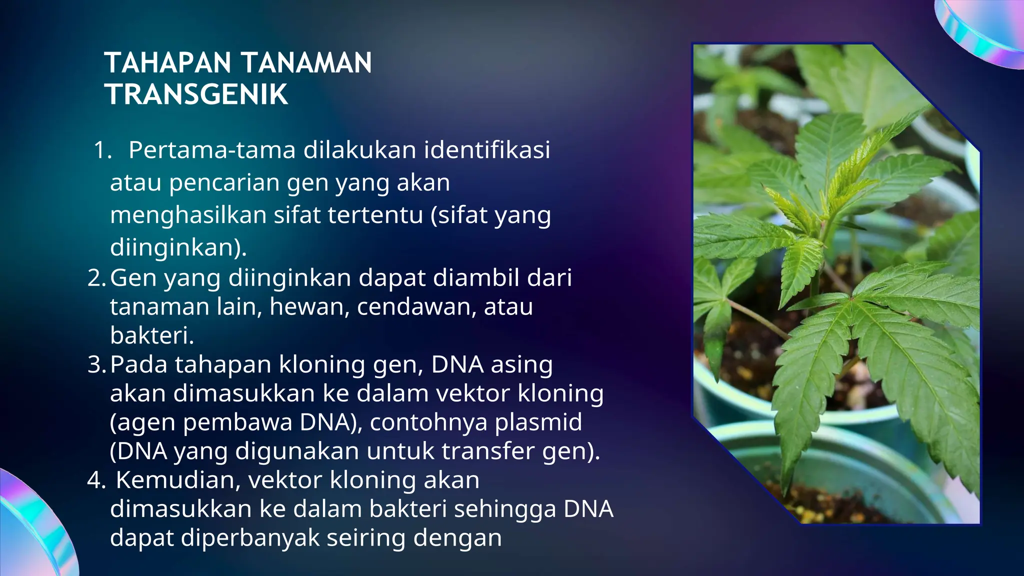 PPT Bioteknologi modern FIXbghfdftdytsrts.docx