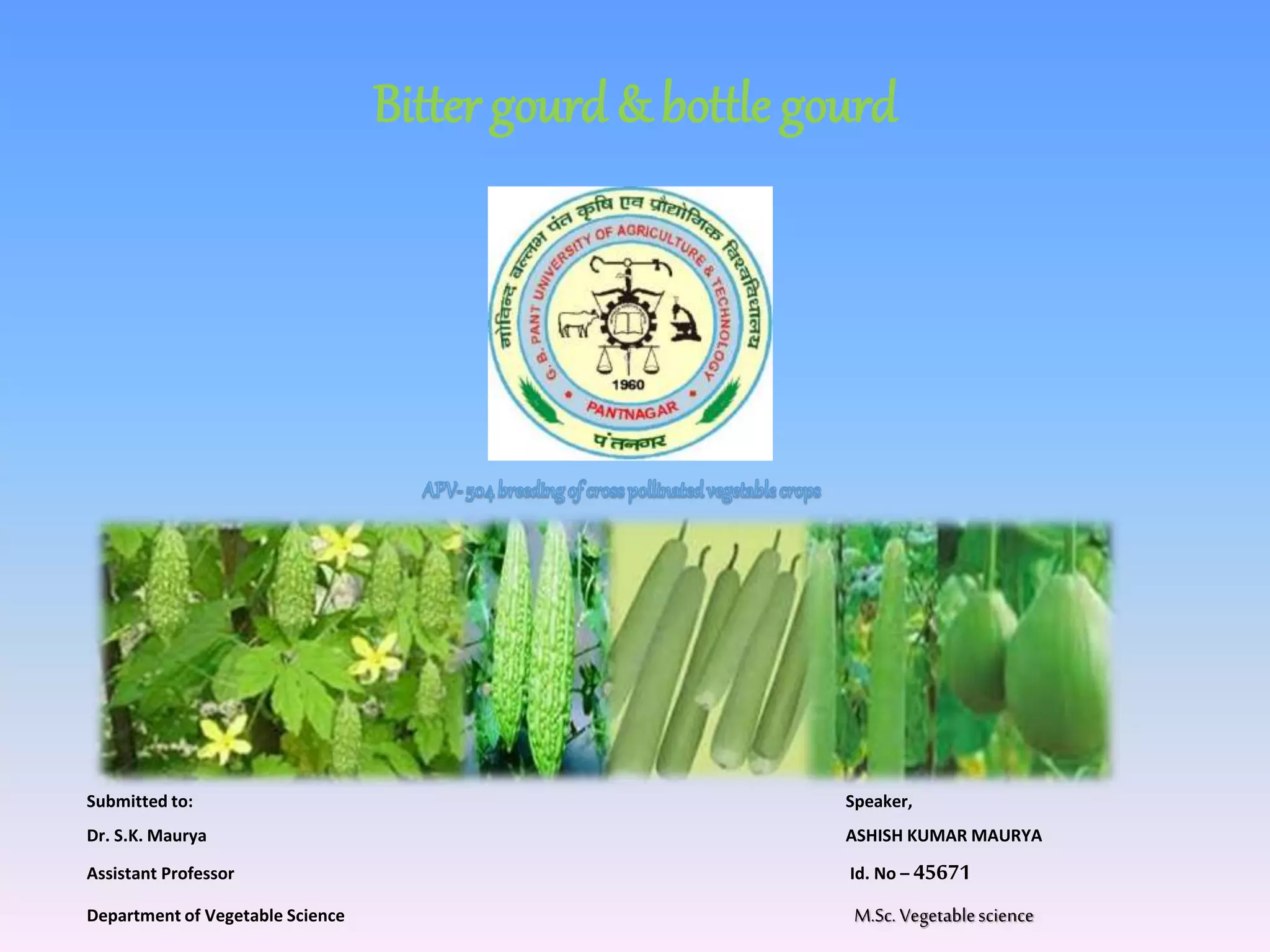 Breeding of Bottlegourd & Bittergourd | PPTX