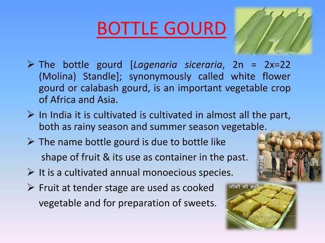 Breeding of Bottlegourd & Bittergourd | PPTX | Gardening | Home & Garden