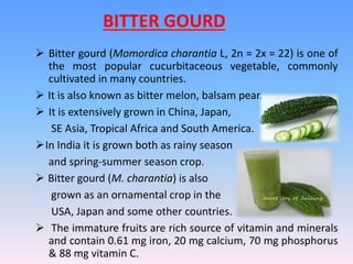 Breeding of Bottlegourd & Bittergourd | PPTX