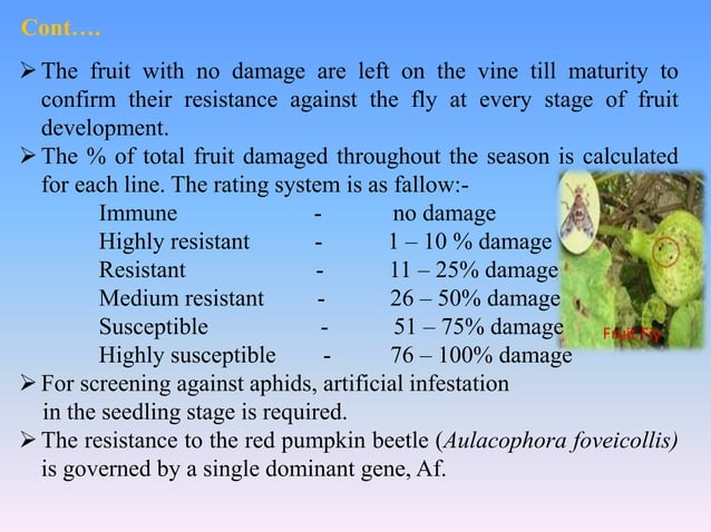 Breeding of Bottlegourd & Bittergourd | PPTX | Gardening | Home & Garden