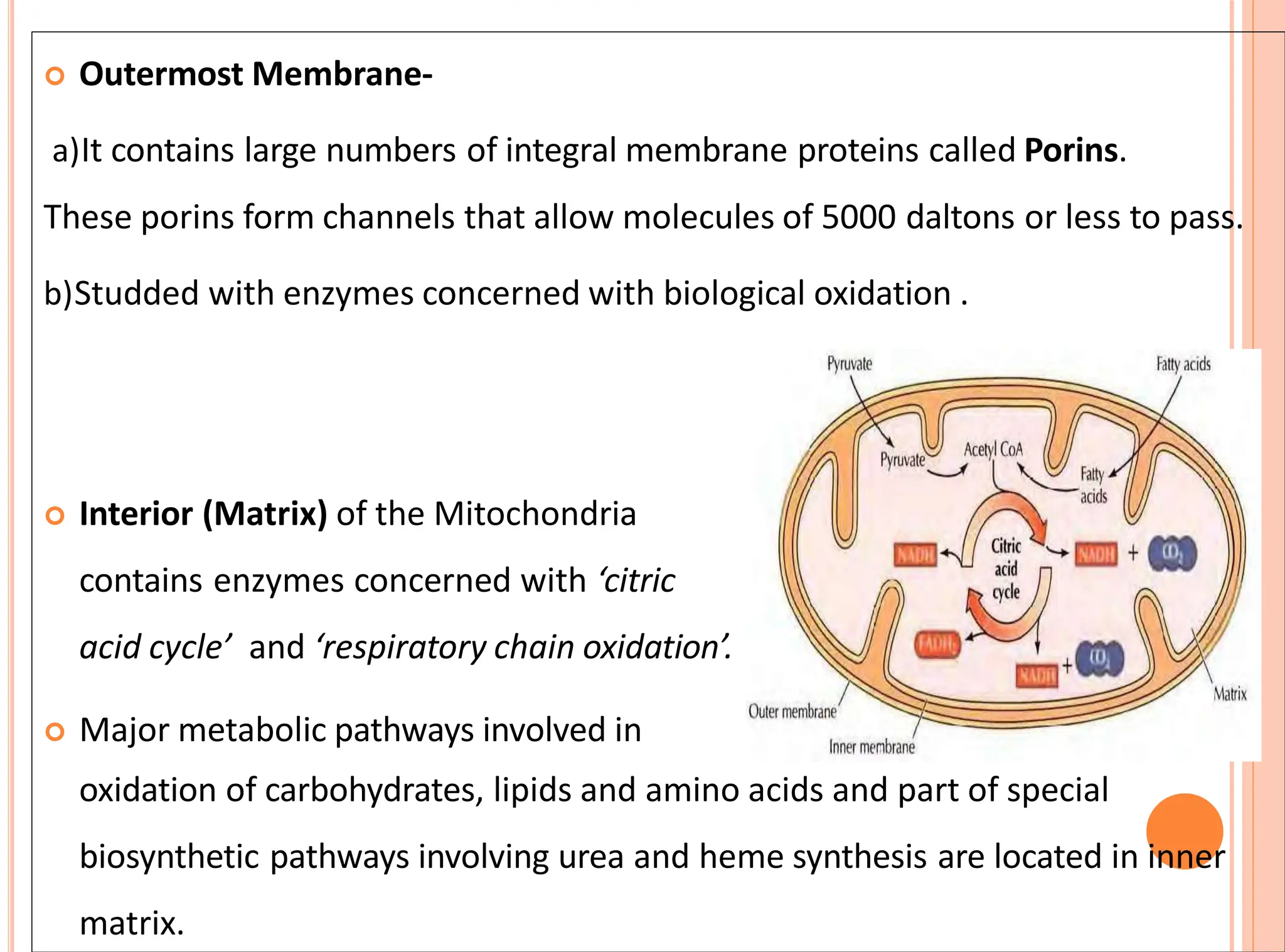 Cell the functional and structural unit of life | PDF