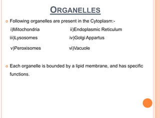 Cell the functional and structural unit of life | PDF