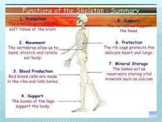 BODY MOVEMENTS in ISLAM | PPTX