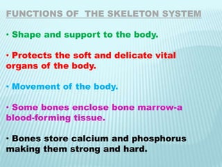 BODY MOVEMENTS in ISLAM | PPTX
