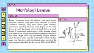 PPT (LAMUN).pptx