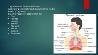 powerpoin boli ale sistemului respirator | PPTX