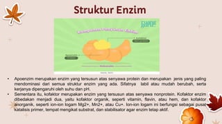 Enzim dan Perannya | 1I | Dosen: Yayuk Putri Rahayu, S.Si, M.Si ...