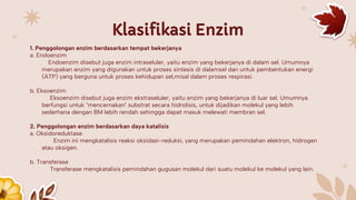 Enzim dan Perannya | 1I | Dosen: Yayuk Putri Rahayu, S.Si, M.Si ...