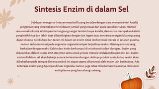 Enzim dan Perannya | 1I | Dosen: Yayuk Putri Rahayu, S.Si, M.Si ...