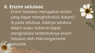 ppt botani kelompok 2.pdf