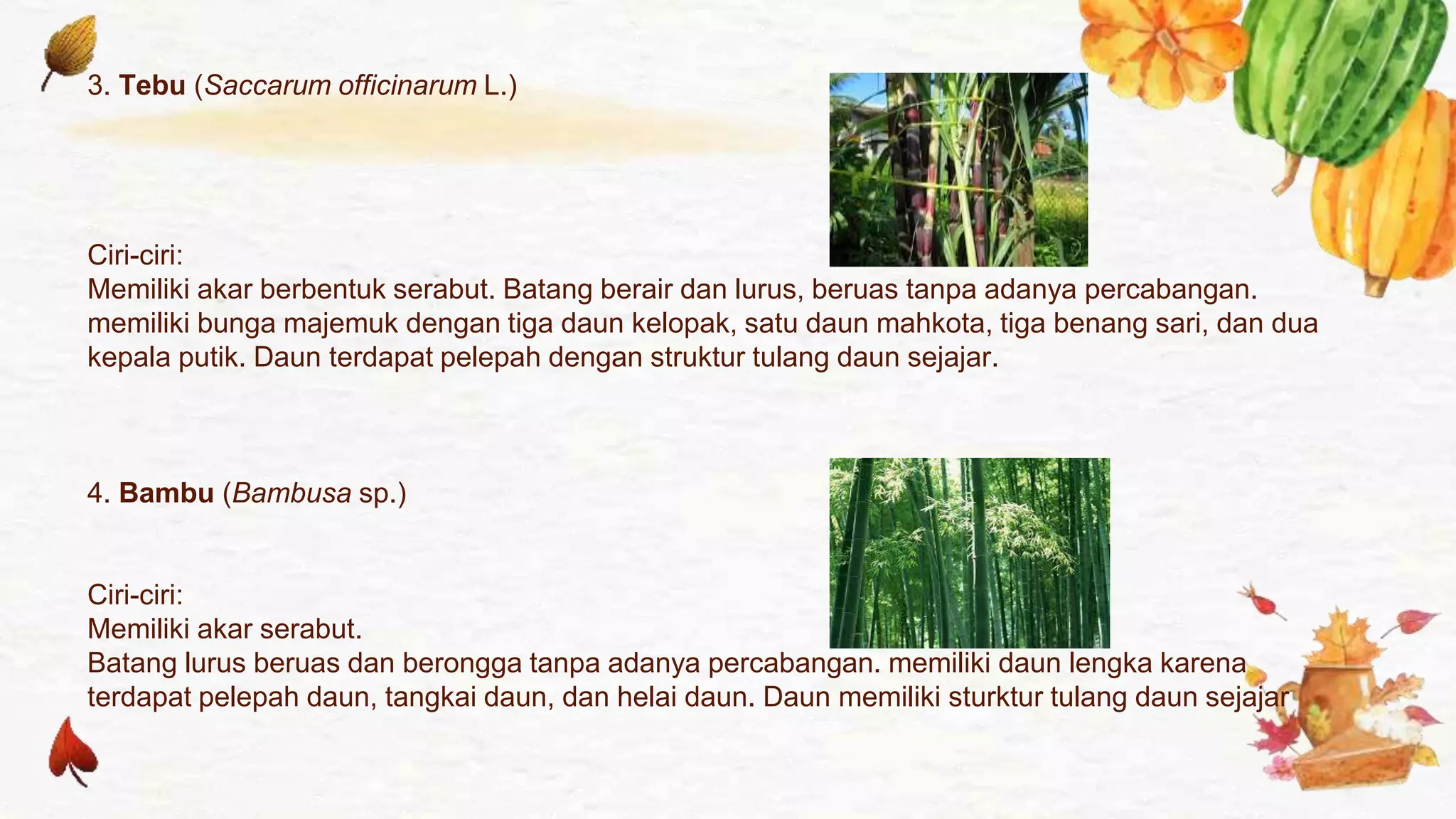 PPT Botani Kelompok 9.pptx