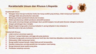 PPT Botani Kelompok 9.pptx
