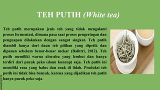 PPT BOTANI TANAMAN TEH KELOMPOK 1 GOL_C[1].pptx