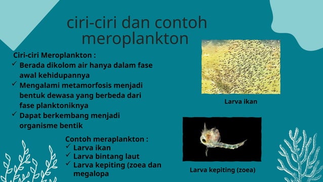 PPT budidaya pakan alami (bpa) PLANKTON.pptx