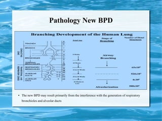 Ppt bpd | ODP