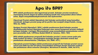 PPT BPH KEL 4.pptx