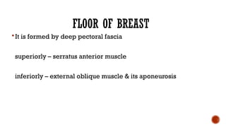 PPT BREAST ANATOMY DR. VISHAL_112521.pptx