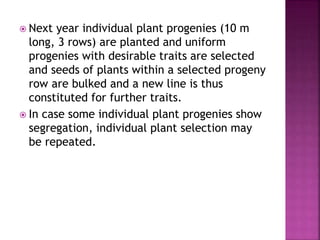 Presentation on Brinjal Breeding | PPTX