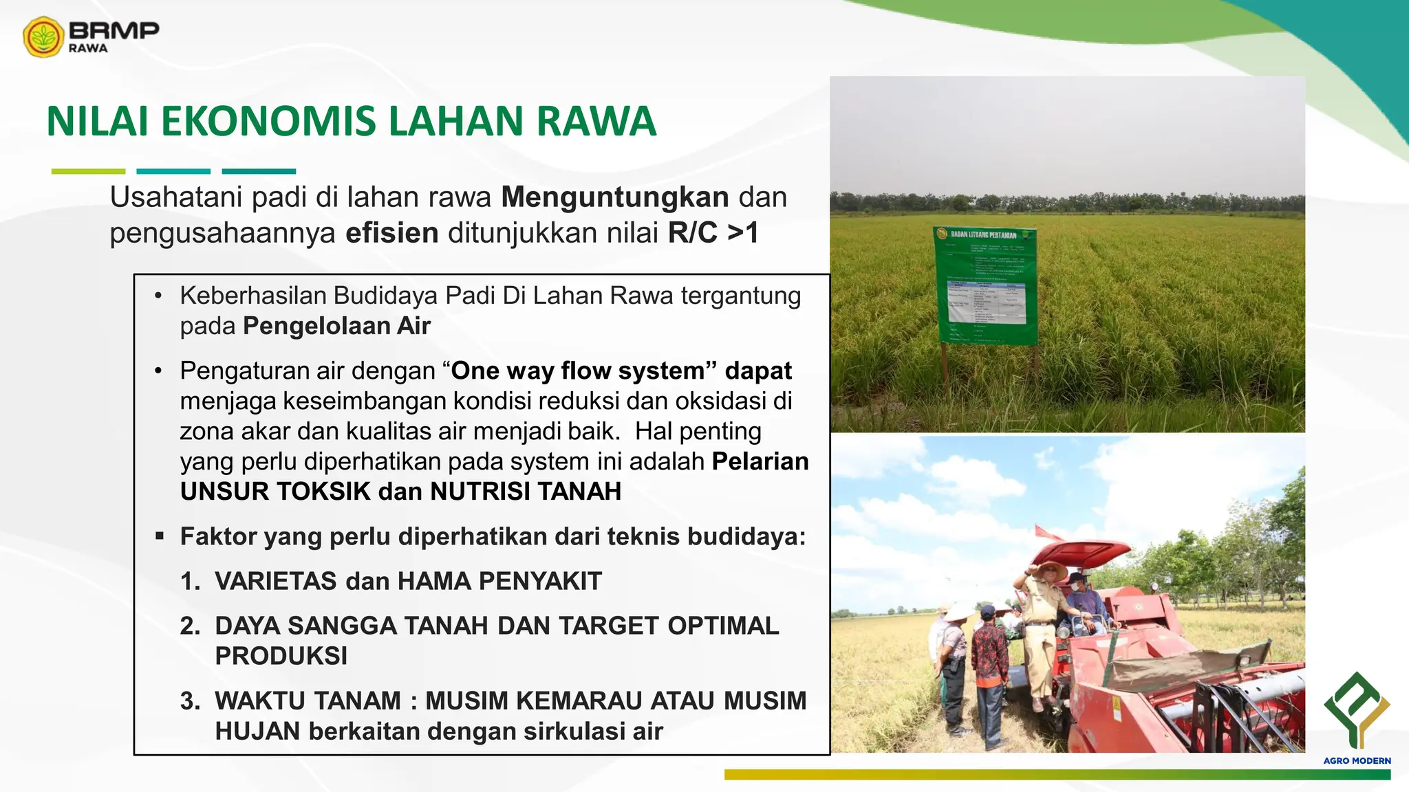 Mengenal Teknologi Budidaya Padi lahan Rawa. Mendukung Swasembada ...