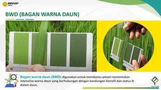 Mengenal Teknologi Budidaya Padi lahan Rawa. Mendukung Swasembada ...