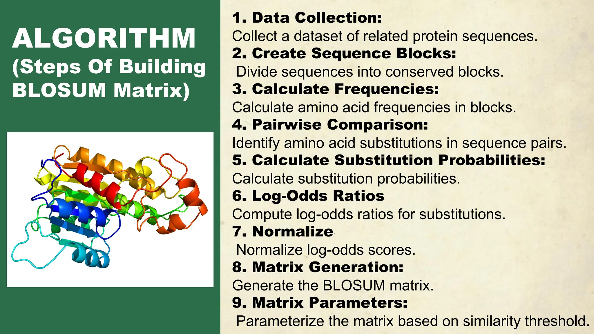 powerpoint presentation on bioinformatics blosum | PDF