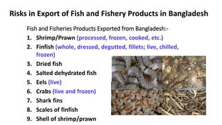 PPT_BTF_Risk in Import & Export of Fish & FP_Aug8 2022.pptx
