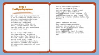 PPT BTR.pptxnnhhhhhhhhhhhhhhhhhhhhhhhhhhhhhhhhhhhhhh | PPT