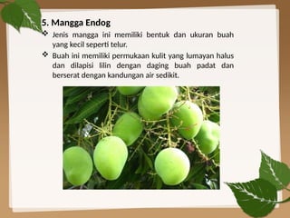 PPT BUAH DAN SAYUR MATKUL TANAMAN PERTANIAN | PPTX