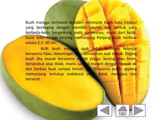 PPT BUAH DAN SAYUR MATKUL TANAMAN PERTANIAN | PPTX