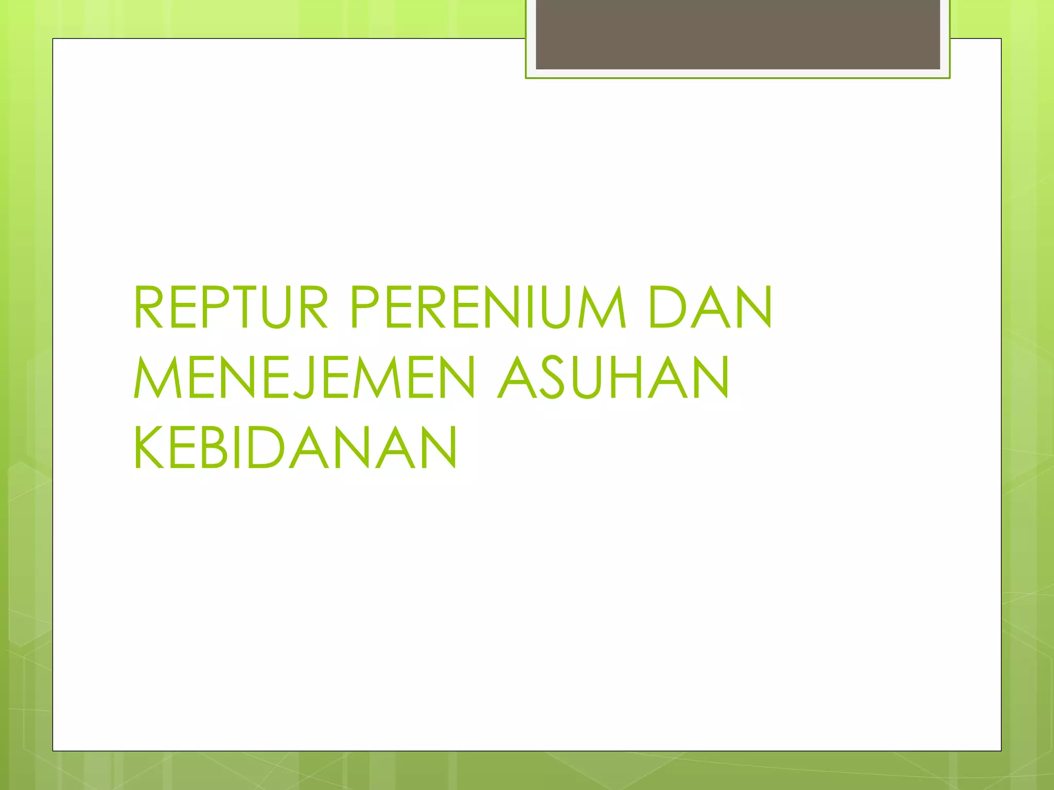 Ppt bu ayu | PPTX