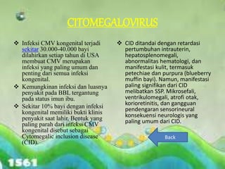 Ppt bu ayu torch | PPTX