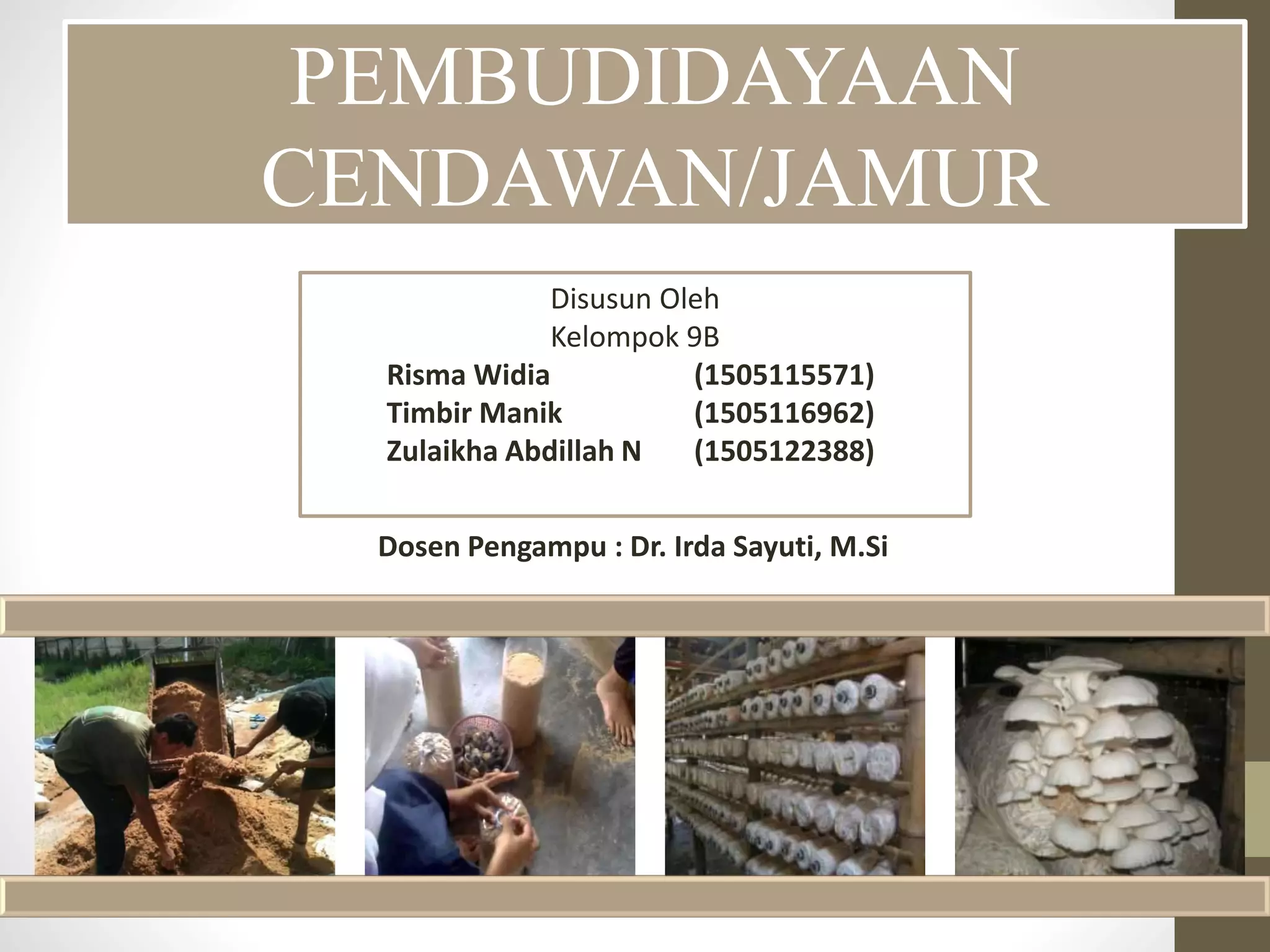 Ppt_budidaya_jamur.pptx