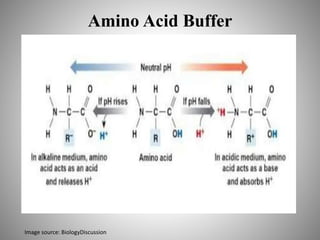 Presentation on Buffer | PPTX