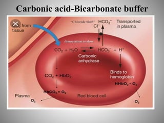 Presentation on Buffer | PPTX