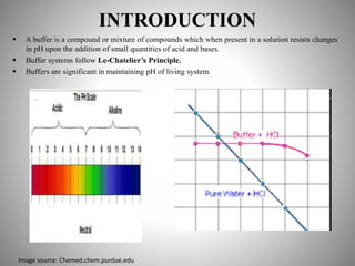 Presentation on Buffer | PPTX