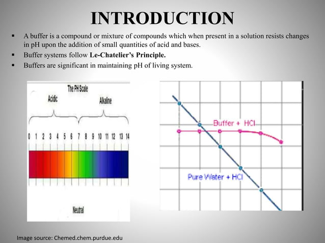 Presentation on Buffer | PPTX
